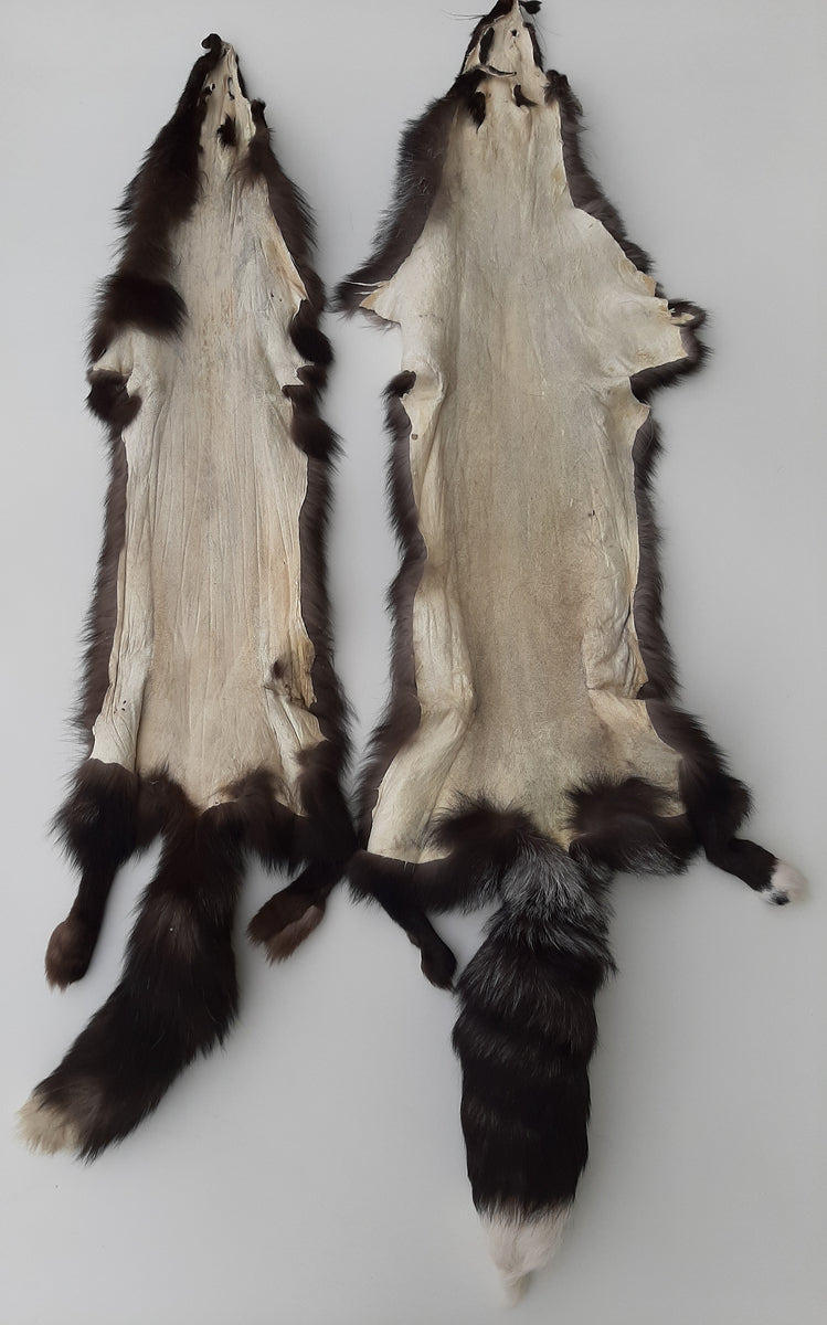 Silver Fox – Dakotaline Furs