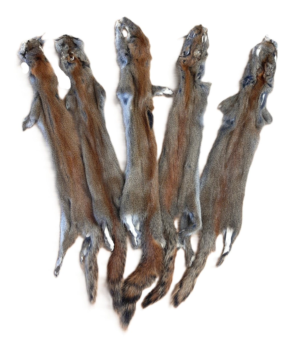 TANNED RODENT/SQUIRREL FUR COLLECTION – Dakotaline Furs
