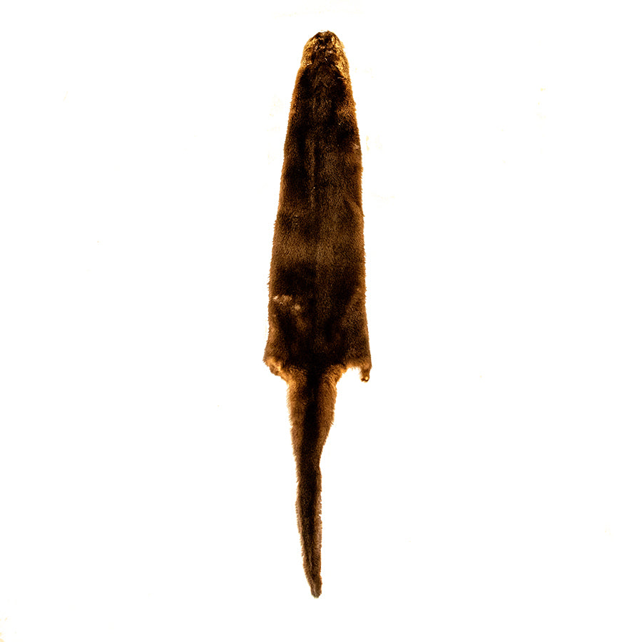 TANNED RIVER OTTER FUR COLLECTION – Dakotaline Furs