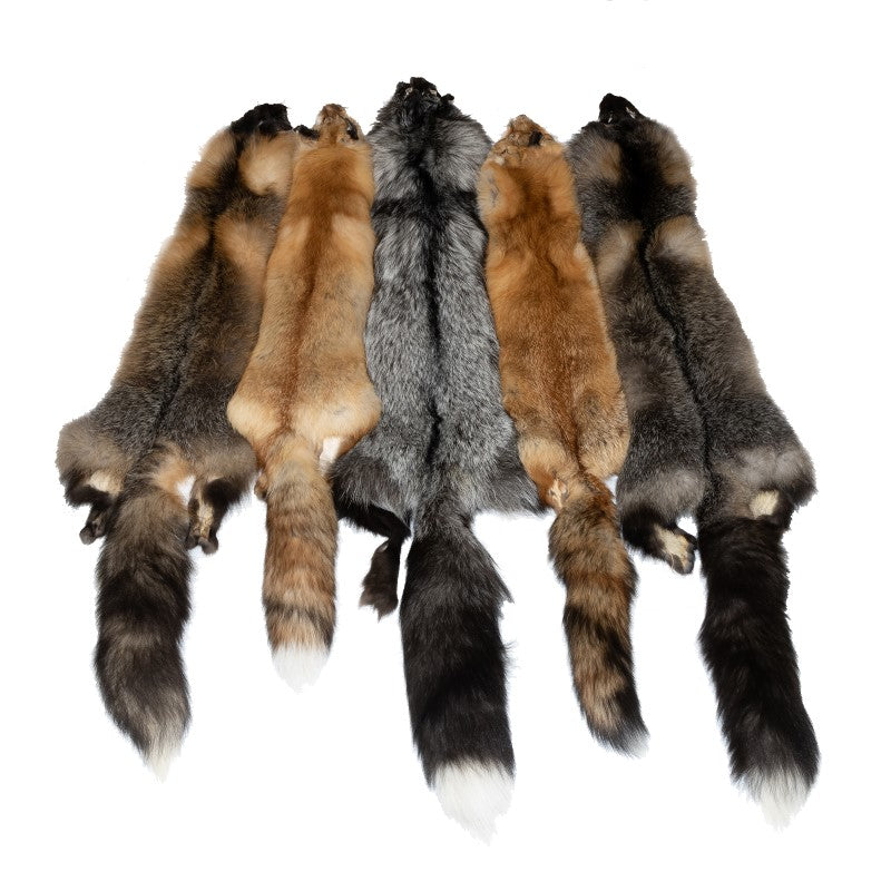 TANNED FOX FUR COLLECTION – Dakotaline Furs