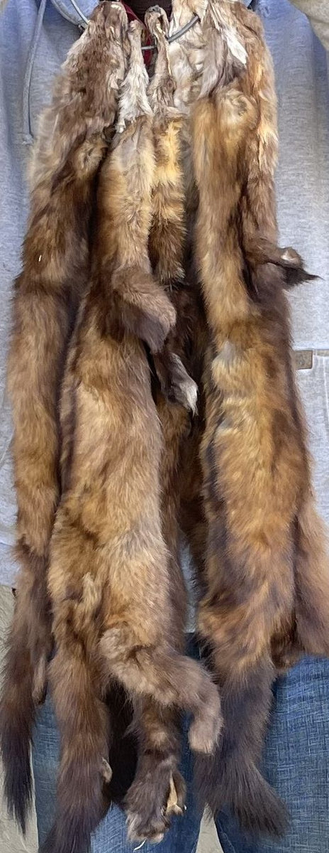 TANNED PINE MARTIN FUR COLLECTION – Dakotaline Furs