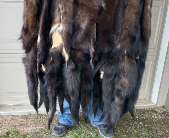 Fisher Pelt, Tanned – Dakotaline Furs