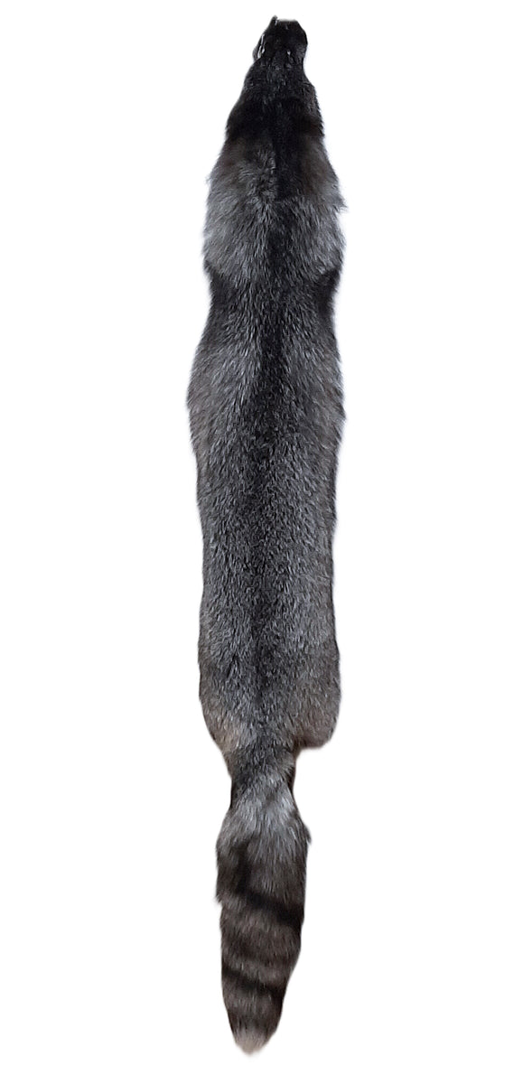 Indigo Fox Pelt, Ranched – Dakotaline Furs