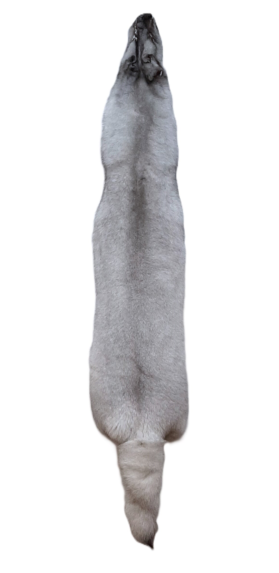 TANNED FOX COLLECTION – Dakotaline Furs