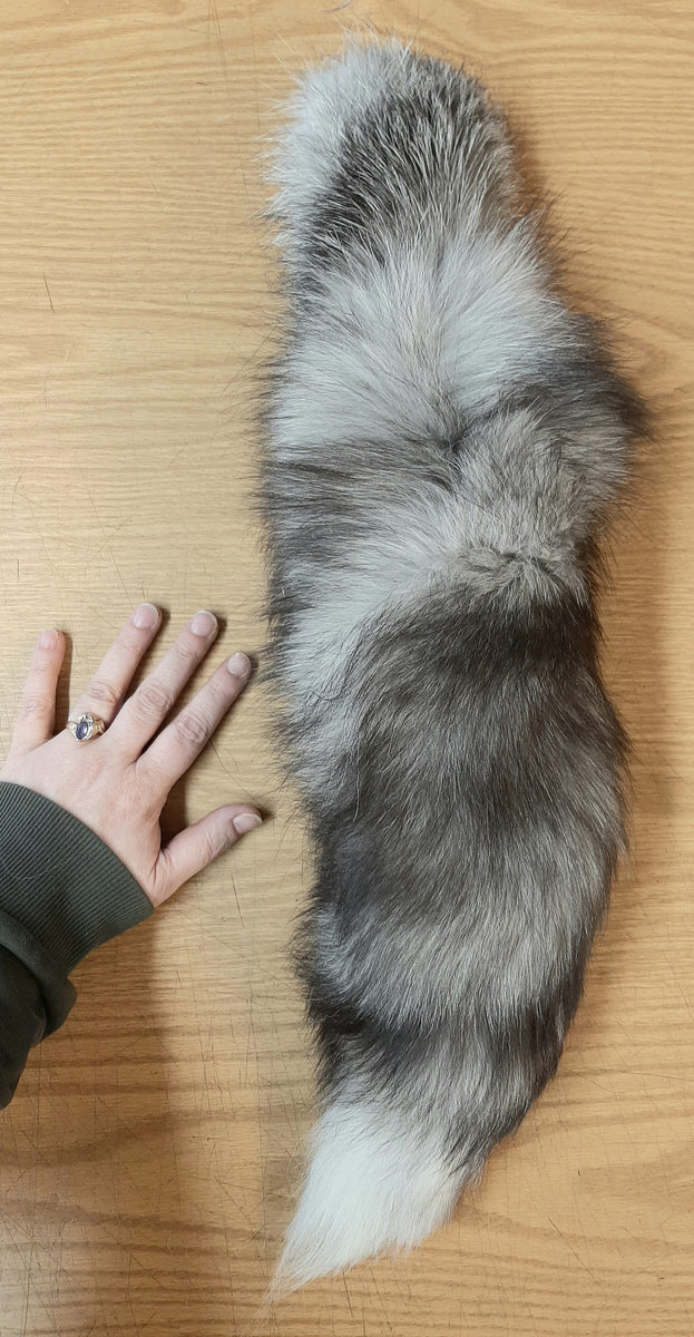 Indigo Fox Tail w/ or w/o grommet & chain – Dakotaline Furs