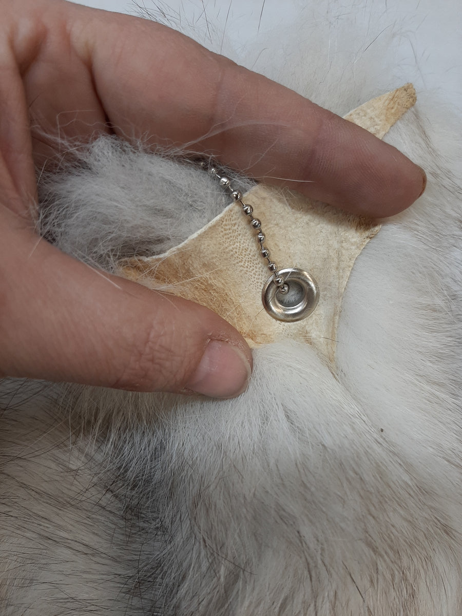 Shadow Fox Tail – Dakotaline Furs