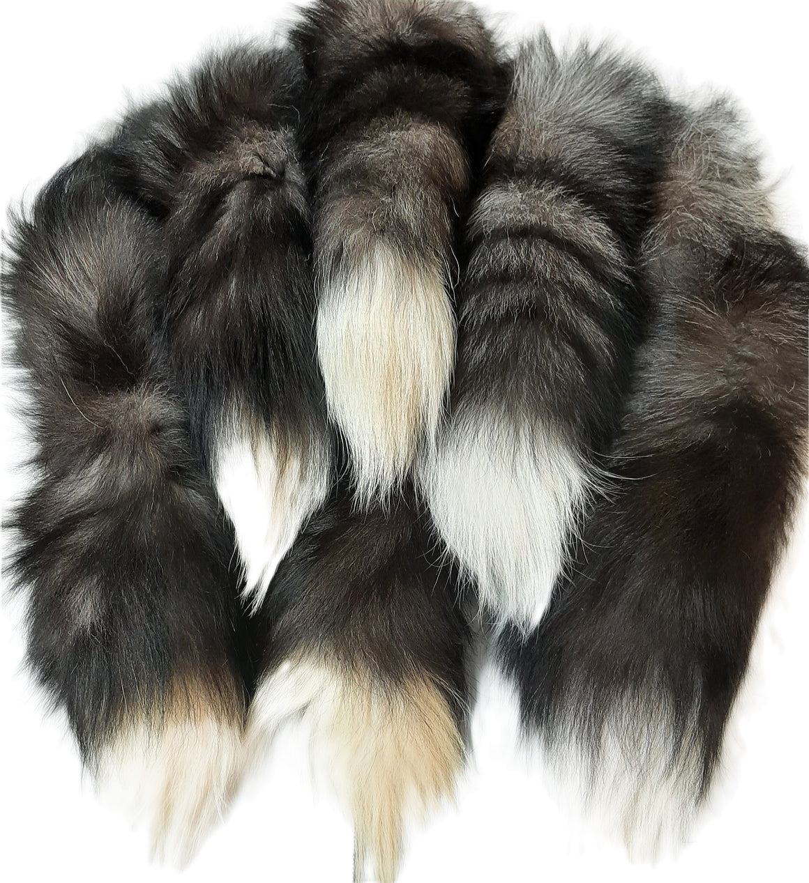 TAIL COLLECTION – Dakotaline Furs