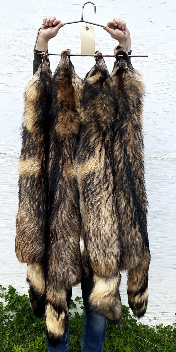 Finn Raccoon Dog Tanuki Fur Pelt (Finland), Tanned – Dakotaline Furs