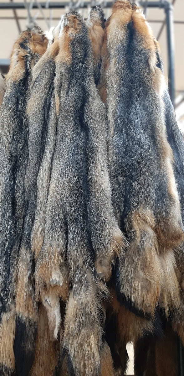 Grey Fox – Dakotaline Furs