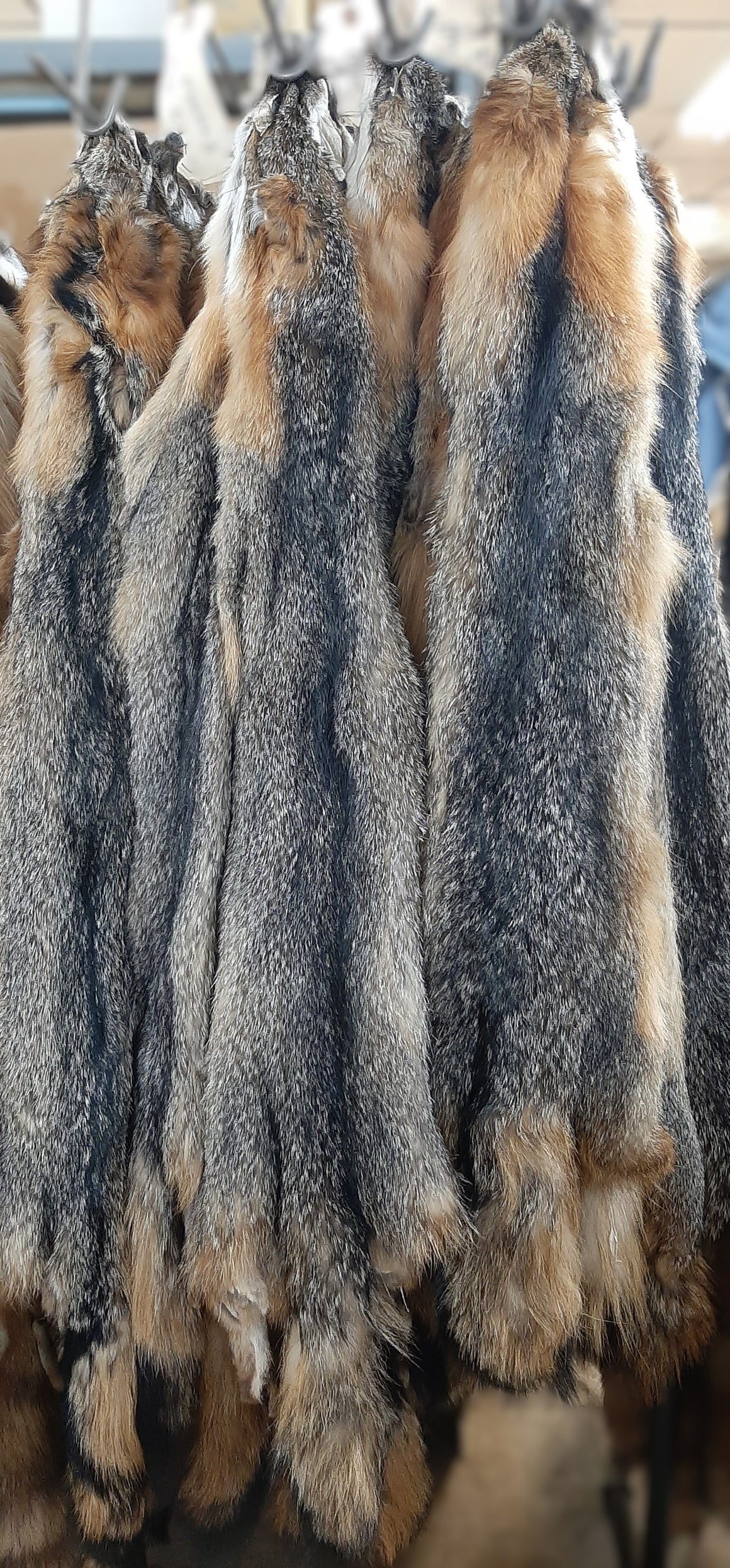 TANNED FOX COLLECTION – Dakotaline Furs