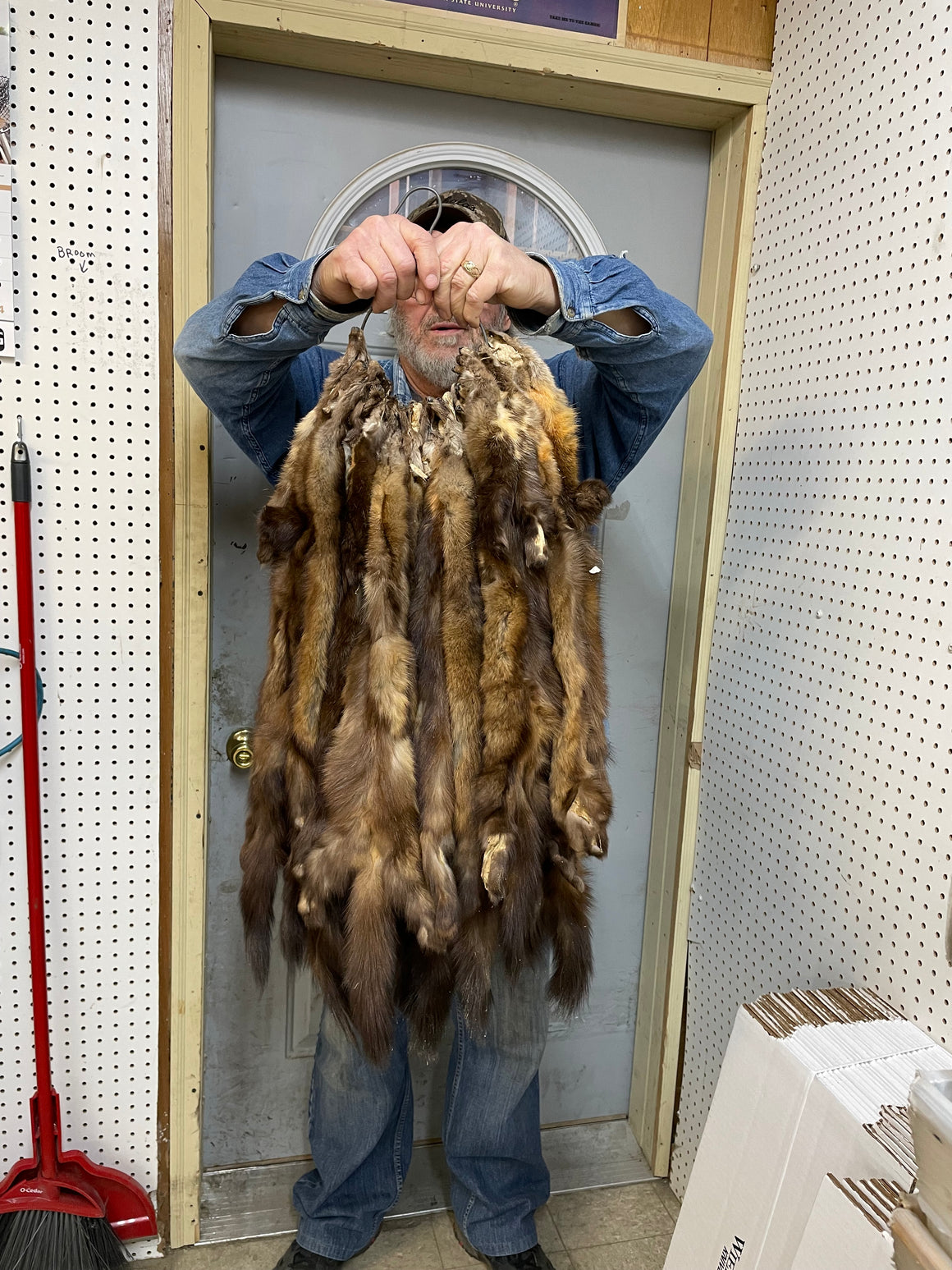 TANNED PINE MARTIN FUR COLLECTION – Dakotaline Furs