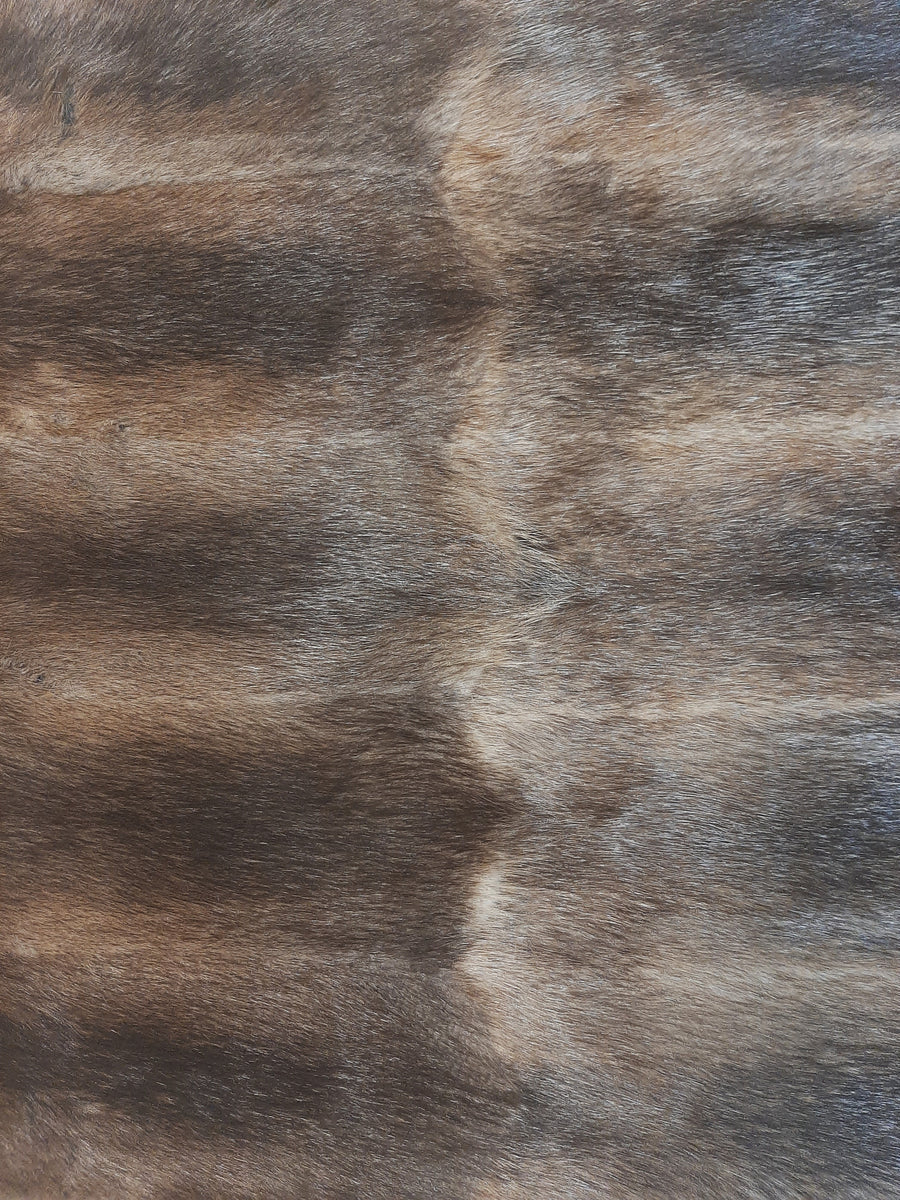 Muskrat Fur Plate – Dakotaline Furs