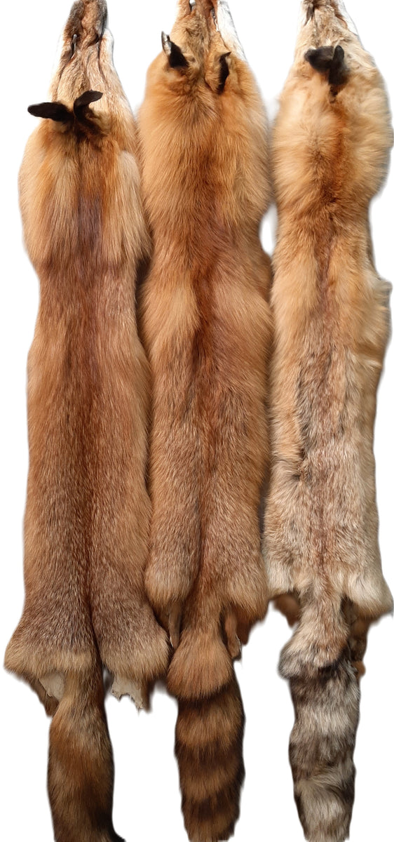 Red Fox Pelt – Dakotaline Furs