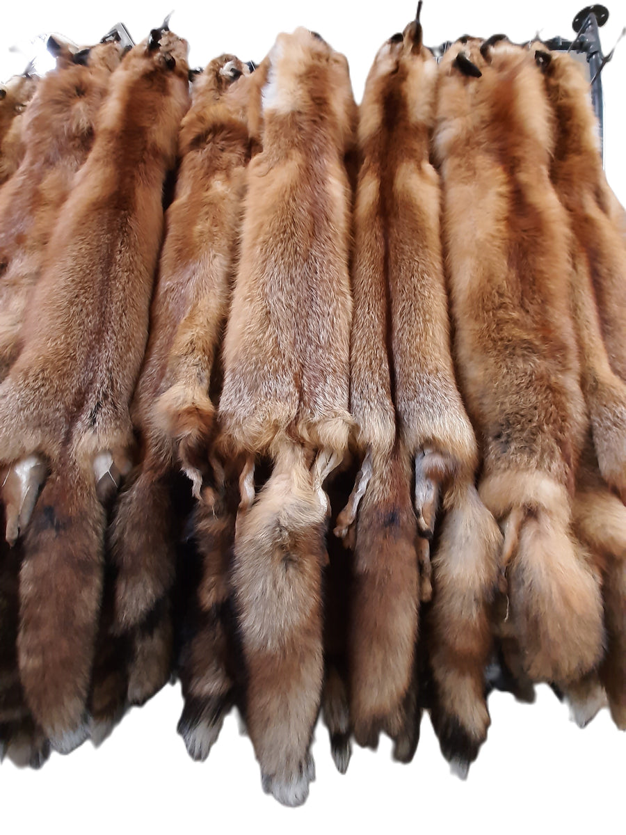 Red Fox Pelt, Tanned – Dakotaline Furs