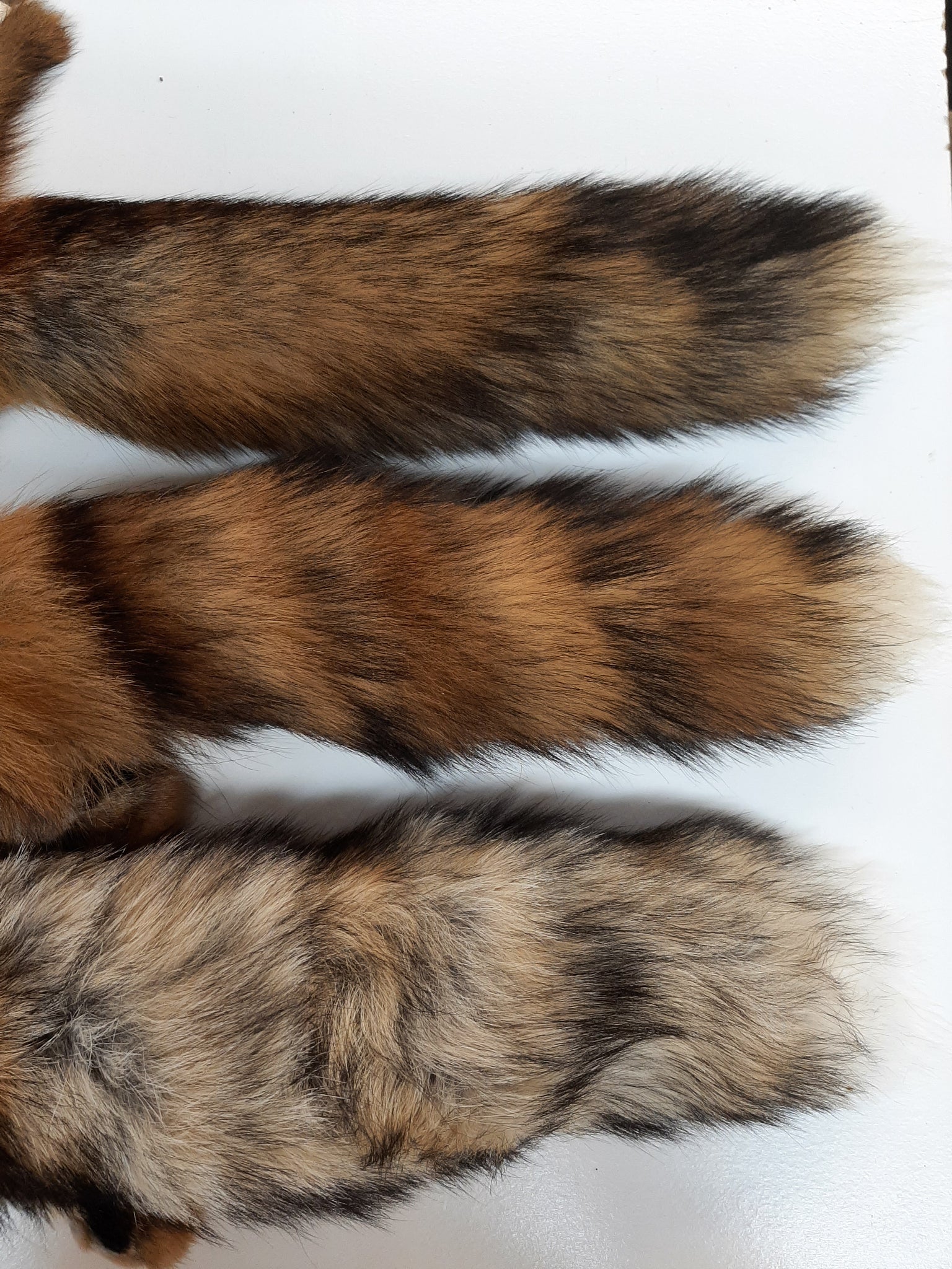Red Fox Pelt, Tanned – Dakotaline Furs
