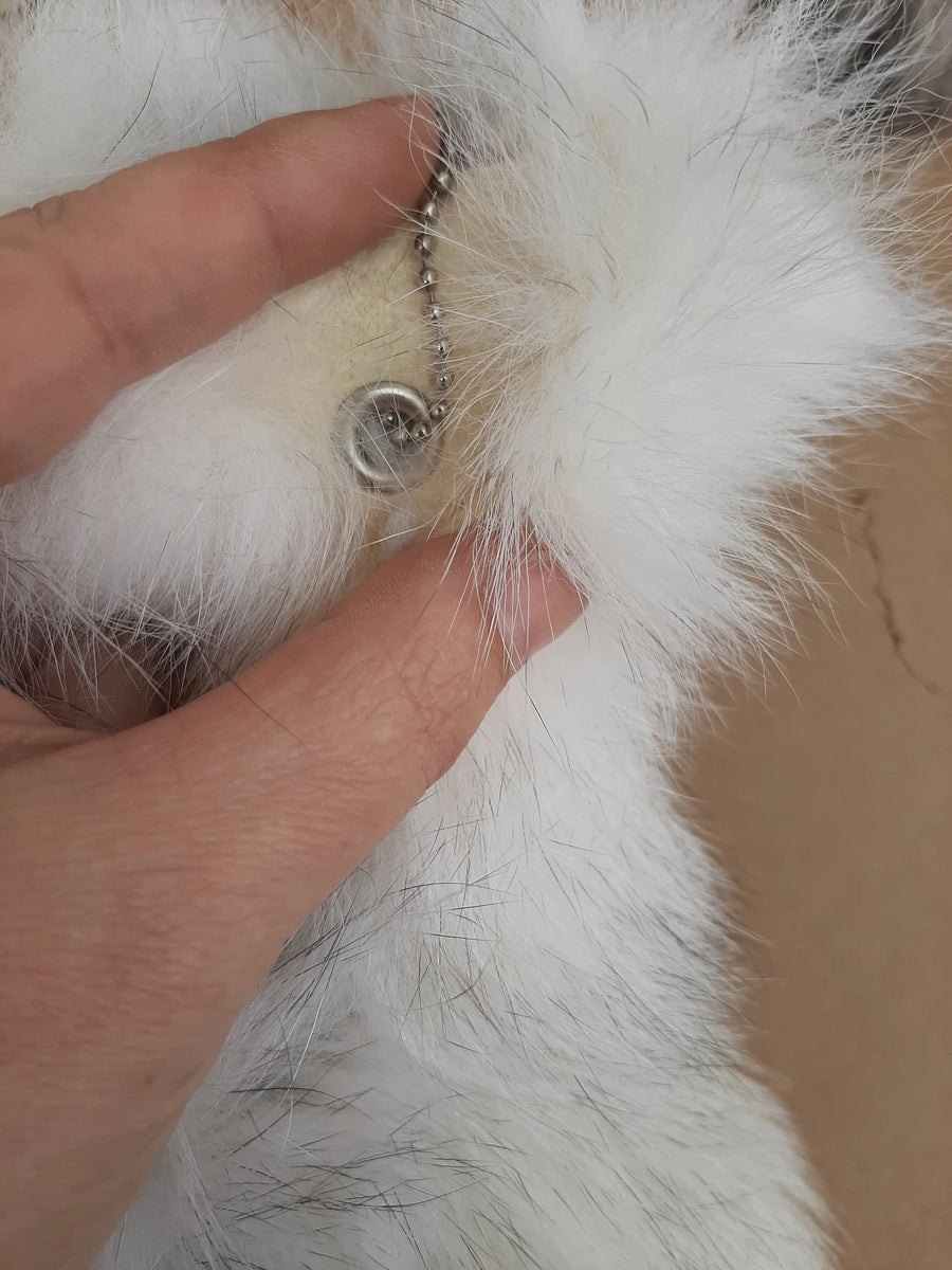 Shadow Fox Tail – Dakotaline Furs